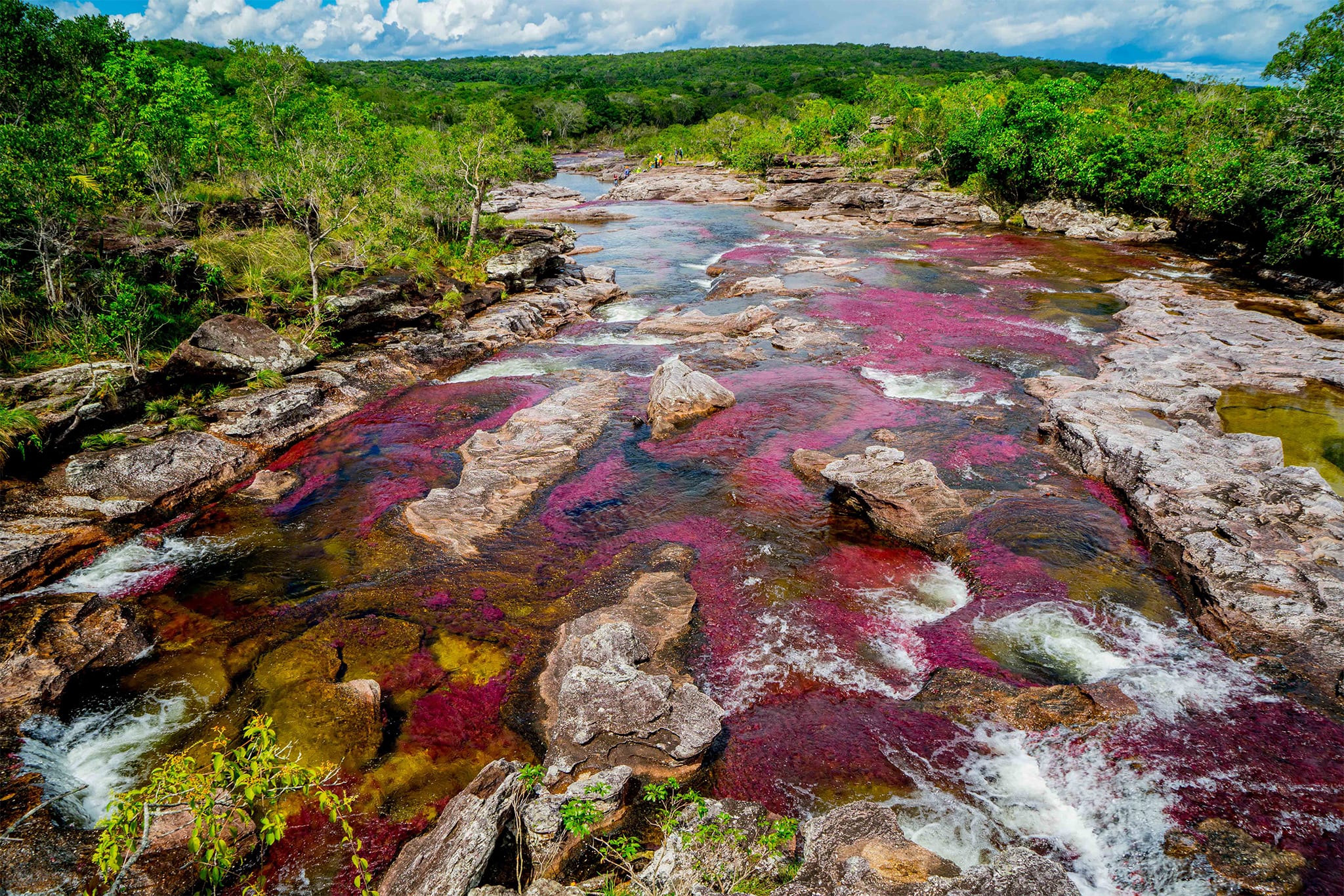 Caño Cristales River Trip - 3 Days – Colombia – FlashpackerConnect ... Caño Cristales River Trip - 3 Days – Colombia – FlashpackerConnect ...